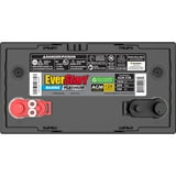 EverStart Platinum BOXED AGM Marine and RV Deep Cycle Battery, Group ...
