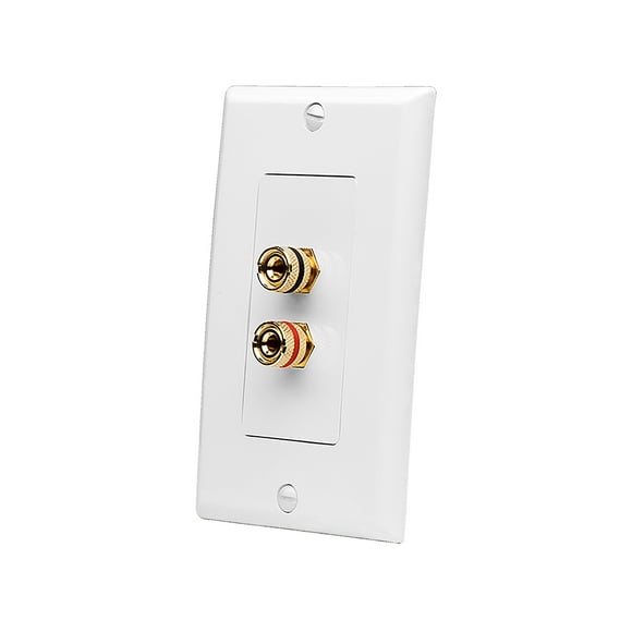 Speaker Wire Wall Plate