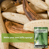 Luffa Gourd Seeds - Non GMO Heirloom Varieties for your Home Vegetable ...