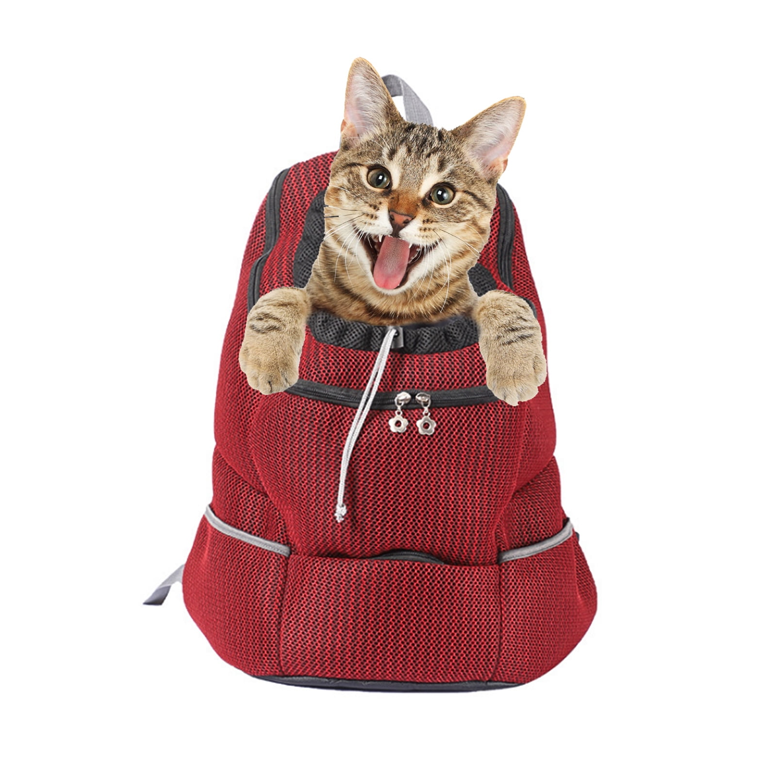 Cat Head Front