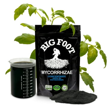 Big Foot Root Boost Azospirillum - Naturally Promotes Rooting, Grow New ...