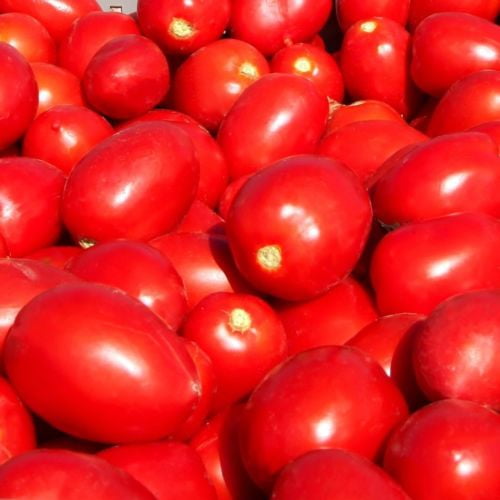 Tomato Rio Grande Great Heirloom Garden Vegetable 100 Seeds - Walmart ...