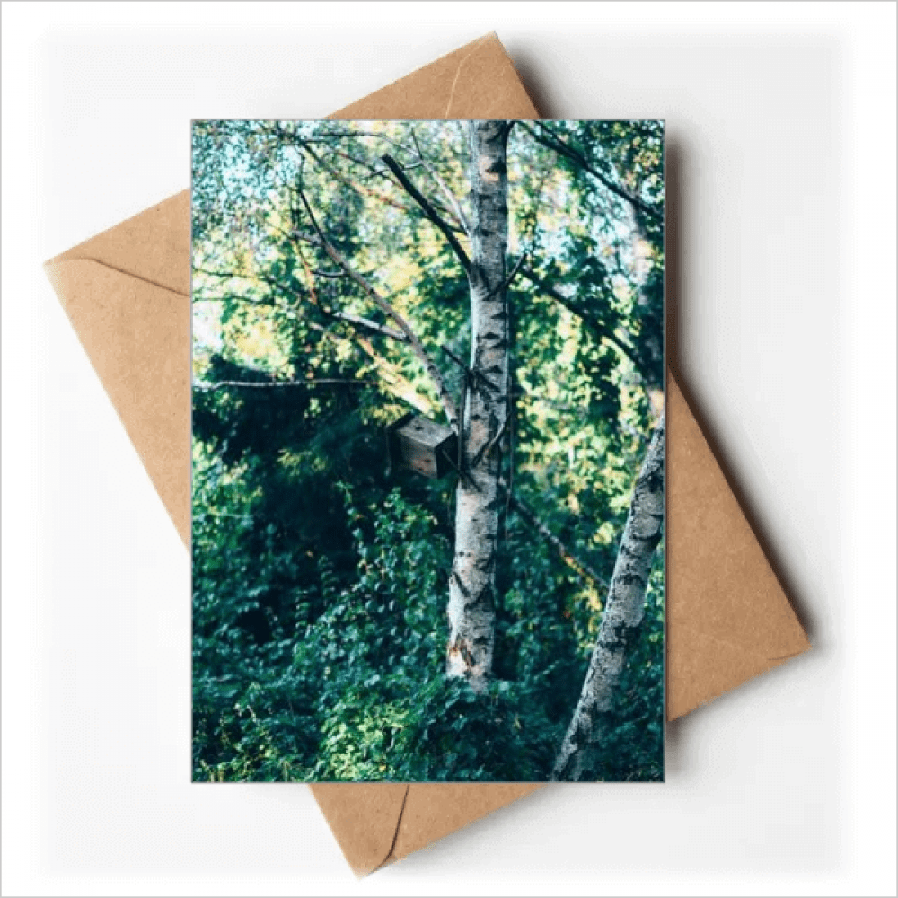 Green Forestry Science Nature Scenery Greeting Cards You are Invited ...