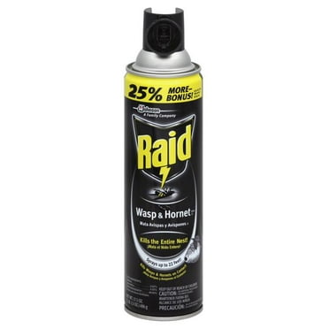 Raid Wasp & Hornet Killer Spray 14 oz - Walmart.com