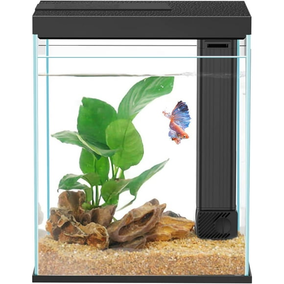 5 Gallon Fish Tank Kits