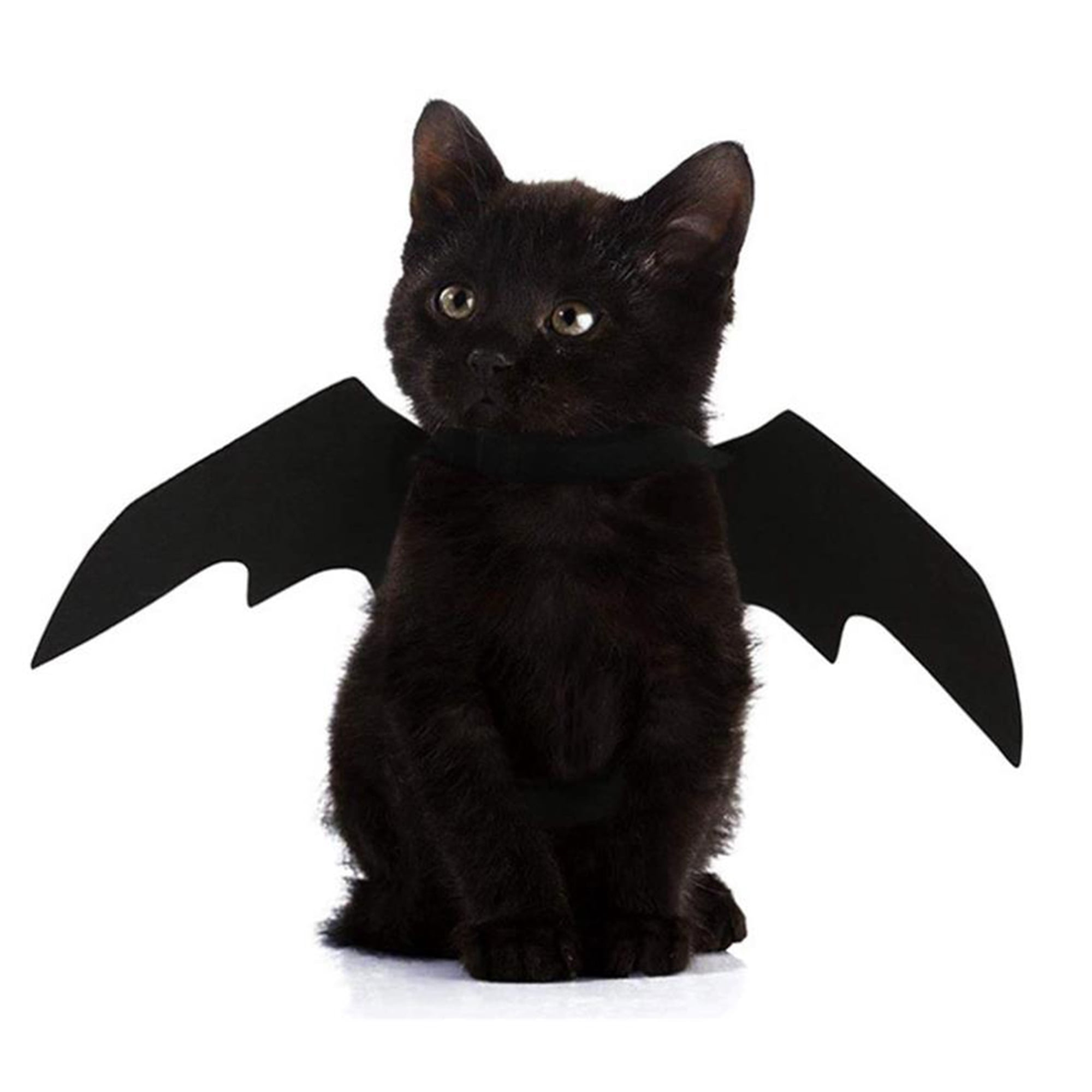 Okbabeha Halloween Pet Bat Wing Costume for Cat Small Dog, Pet Bat ...