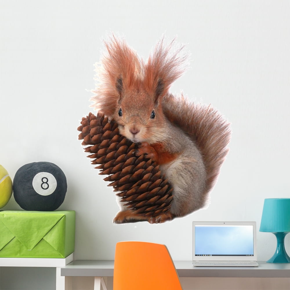 Squirrel Wall Decal by Wallmonkeys Peel and Stick Graphic (36 in H x 29 ...