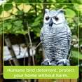 Bird Blinder, Realistic Fake Owl Decoy, Plastic Garden Motion Sensor ...