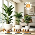 3-Pack Plant Stand Indoor, Wood Round Pedestal Riser 6.69/8.66/10.23 ...