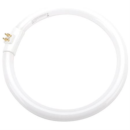 Circular Light Bulbs