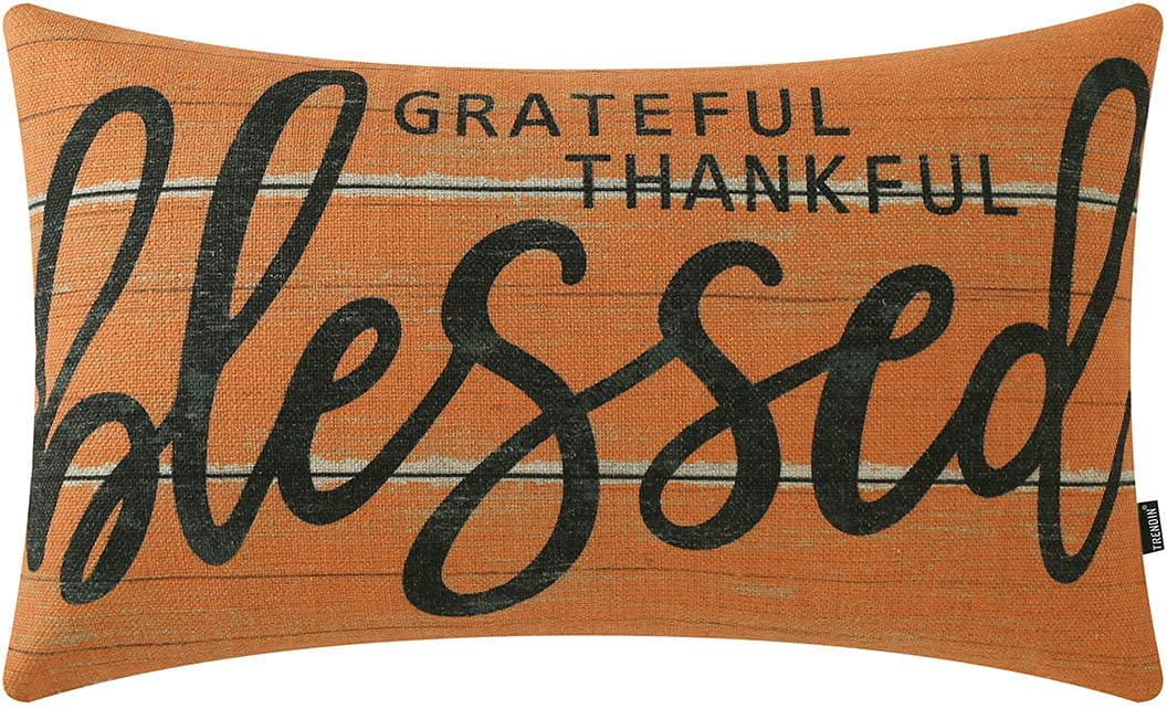 TRENDIN Grateful Thankful Blessed Pillow Cover 12x20 inch Farmhouse ...