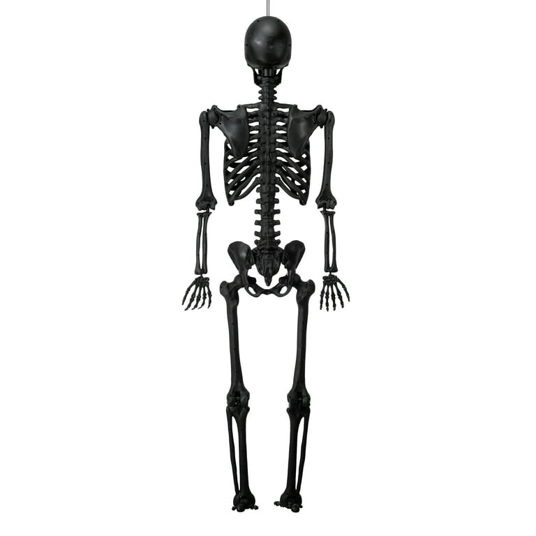 Skeleton Images Black And White