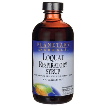 Planetary Herbals Loquat Respiratory Syrup, 4 Fl Oz - Walmart.com