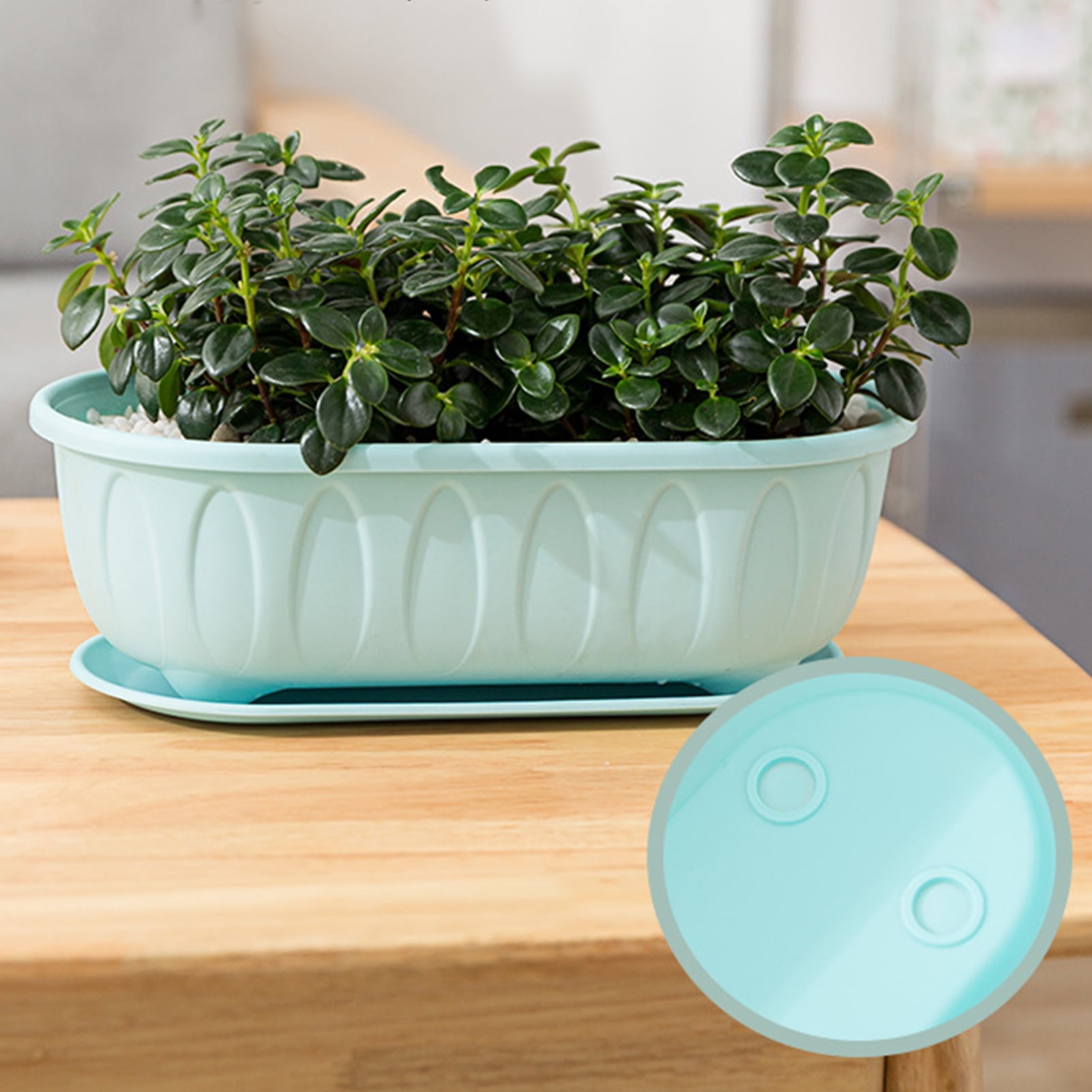 Travelwant 5Pcs Herb Planters,Indoor Rectangle Succulent Cactus Plant ...