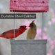 Infinity Bird Feeder - Wild Bird Feeder with 360 Degree View of Feeding ...