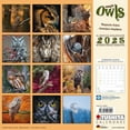 Tushita Publishing, Magic Owls 2025 Wall Calendar - Walmart.com