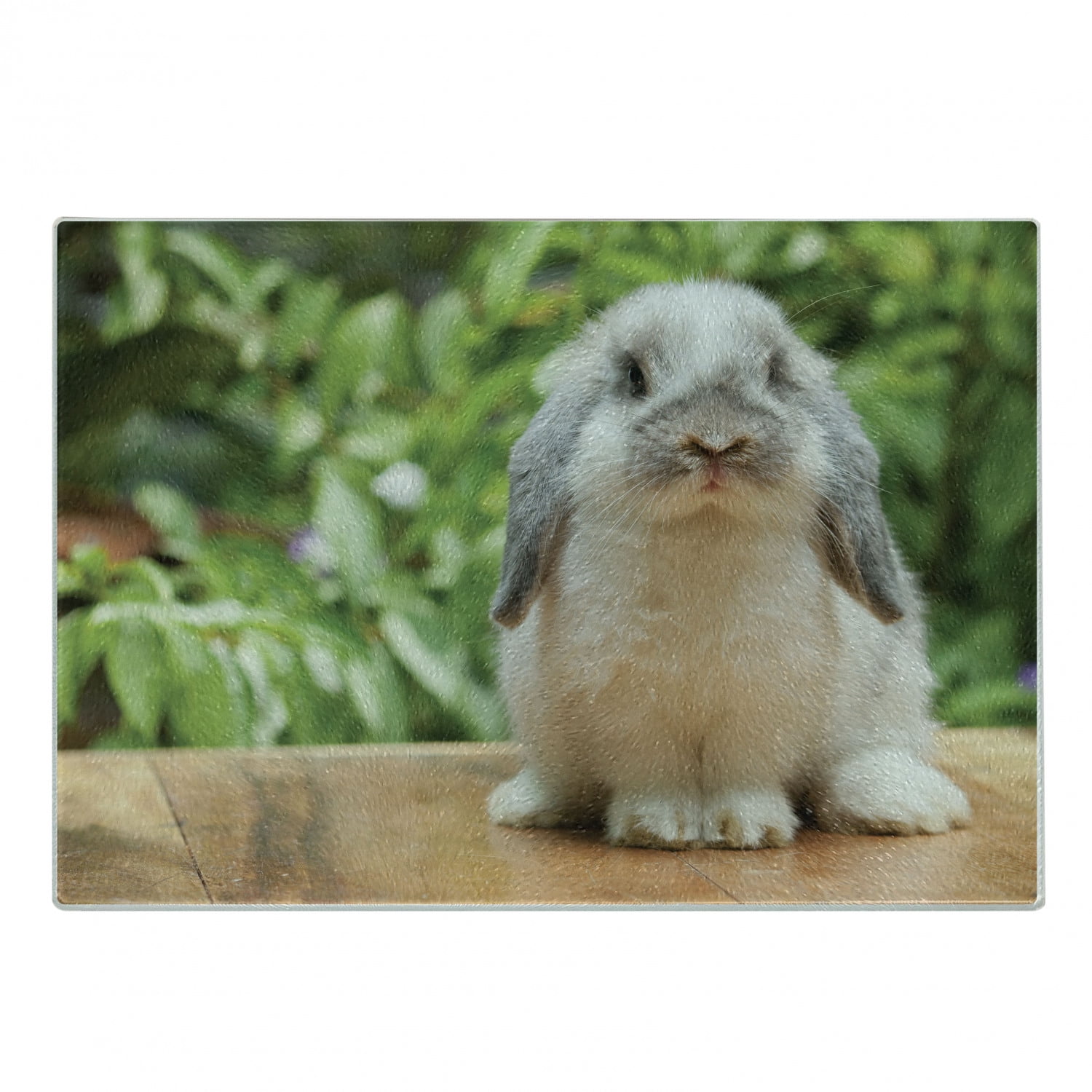 Bunny Cutting Board, Photo of a Holland Lop Rabbit Standing on a Wooden ...