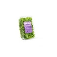 Little Leaf Farms Sweet Baby Butter Leaf Lettuce, 8 oz Clam Shell ...