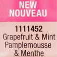 wet n wild Perfect Pout Lip Treatment, Grapefruit and Mint - Walmart.com
