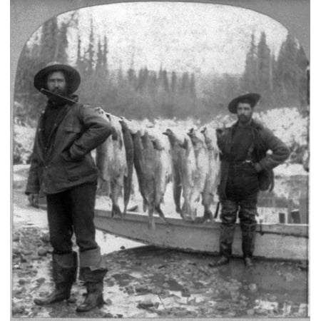 Arctic: Fishing, 1899. /Ntwo Men Carrying Their Morning Catch Of Ten ...