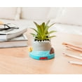 JAWS Shark Small 4-Inch Ceramic Mini Planter With Artificial Plant ...
