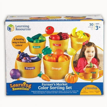Learning Resources Super Sorting Set with Cards - Walmart.com