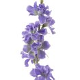 12 Pack: Lavender Wild Delphinium Spray by Ashland® - Walmart.com