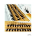 LUJITO 8mm 30D-C Curl 60 Clusters Individual Lashes Natural And Soft ...