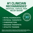 BioFreeze Pain Relief Portable Dry Stick Menthol Cold Topical for ...