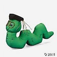 Graduation Autograph Cat - Toys - 1 Piece - Walmart.com