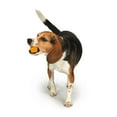 Cool Pup Mini Popsicle Hydrating Dog Chew Toy, Orange - Walmart.com