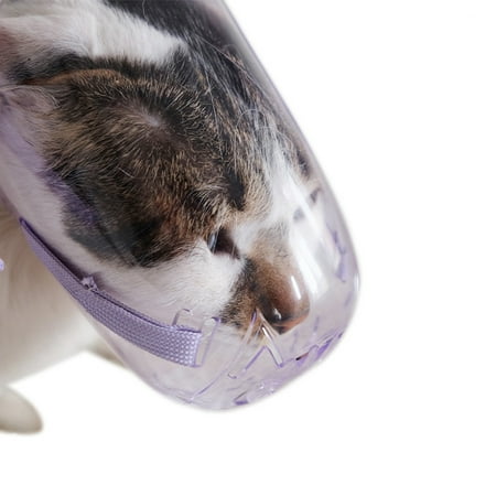 Cat Muzzle Set Anti-biting Breathable Plastic Pet Muzzle Pet ...