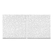 Armstrong CORTEGA SECOND LOOK 2x4 Acoustic Drop Ceiling Panels, 10 ...