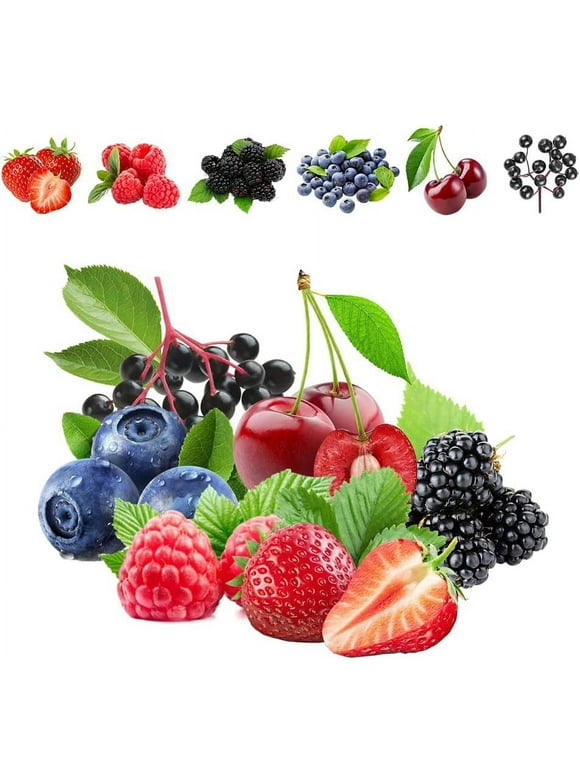 Blueberry Seeds in Seed Gardening - Walmart.com