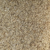 PowerGrow Systems Premium All Natural Rice Hulls 1 Gallon Bag for ...