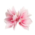 Aellinatey Spring Themed Hair Hairpin 4Pcs Polymer Hairpins Light ...