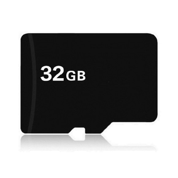 32GB SD Cards