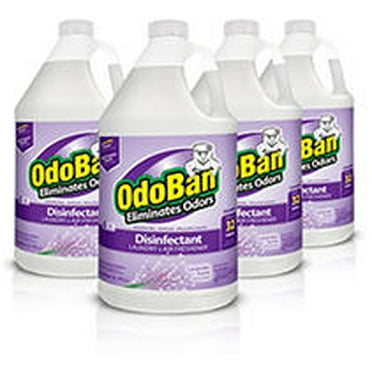OdoBan Solid Odor Absorber for Home and Small Spaces, Citrus Scent, 14 ...