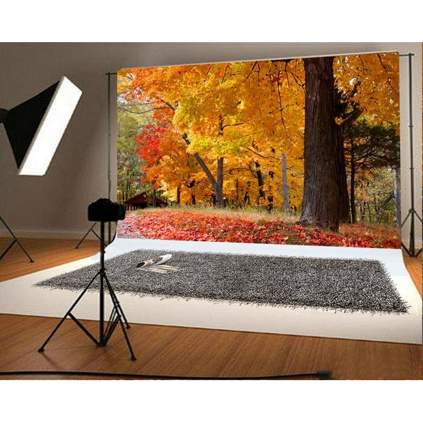 MOHome 7x5ft Maple Tree Backdrops Photography Gold Fall Forest Scene ...