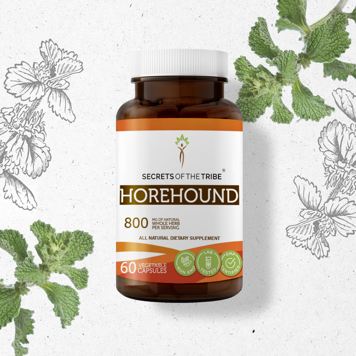 Secrets of the Tribe Horehound 60 Capsules, 400 mg, Horehound ...