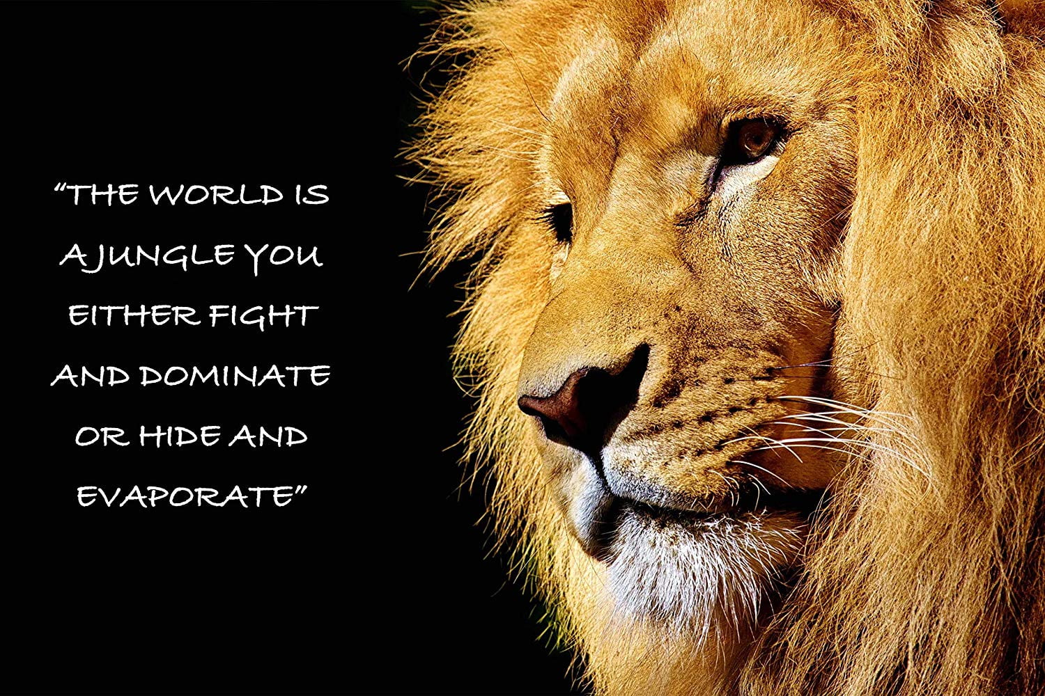 Inspirational Motivational Poster Animal Theme Lion Poster Lion Wall ...