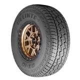 Free Shipping! Delinte DX-10 Bandit A/T All Terrain Tire LT245/75R17 ...