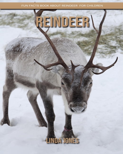 Reindeer : Fun Facts Book about Reindeer for Children (Paperback ...