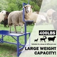 Goat Milking Stand with Feed Bin, 400LB Heavy Duty Goat Stand for Hoof ...