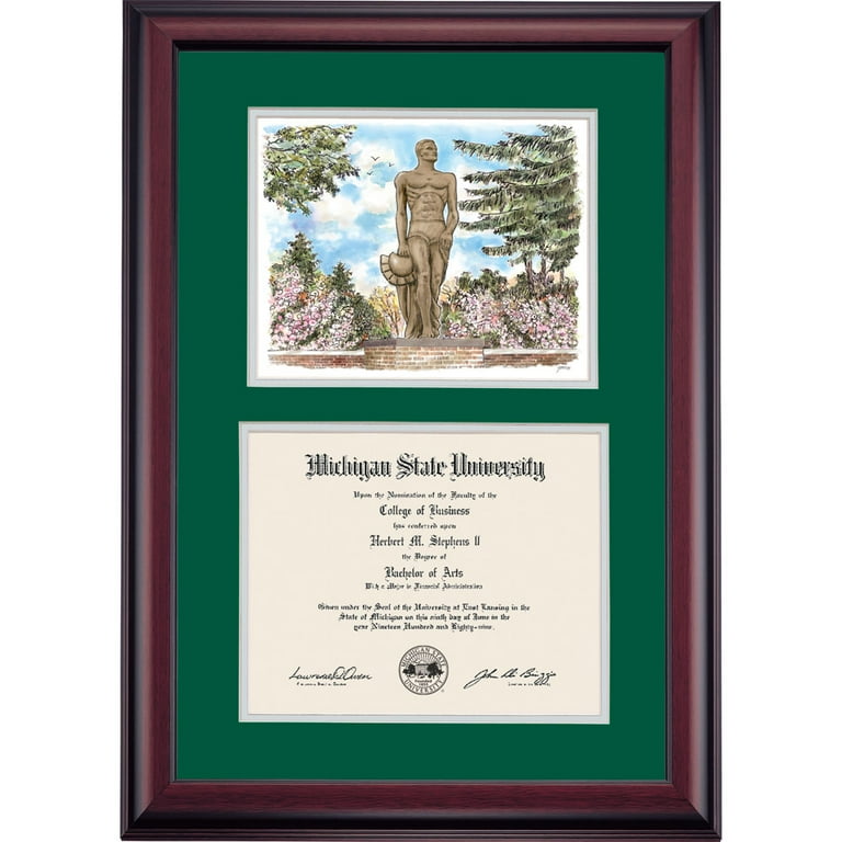 Michigan State University Diploma Executive Diploma Frames All