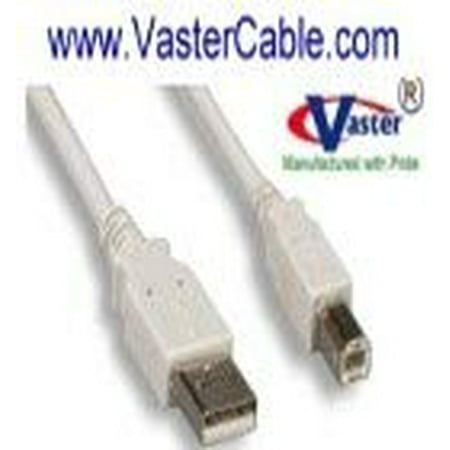 SuperEcable - USB Printer Cable 10 Ft Premium USB2.0 Scanner, Printer ...
