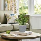 Westcharm 16'' Tall Faux Jade Plant, Crassula Ovata Money Tree in ...