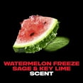 Axe Deodorant Body Spray for Men, Watermelon Freeze, 4 oz - Walmart.com