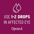 (2 pack) Opcon-A Eye Allergy Relief Drops for Itchy Red Eye Relief with ...
