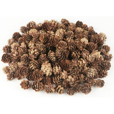 20Pcs Natural Decorative Fake Pine Cone - Attractive Pinecone ...